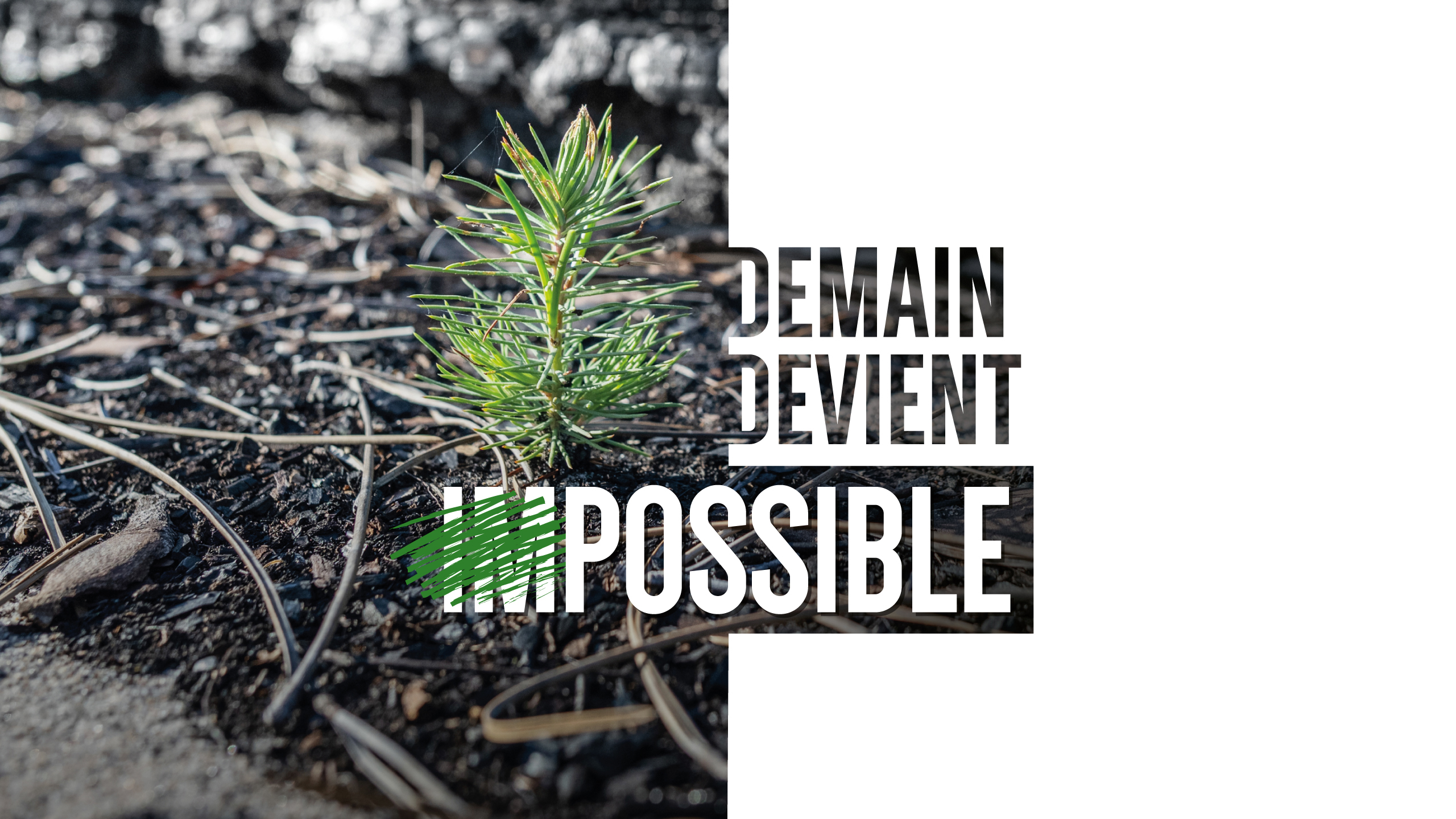 Qu'est ce que Néo Terra ? - Néo Terra - Demain devient possible - La ...